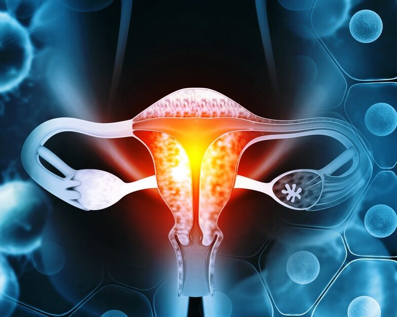 El endometrio: un tejido con potencial regenerativo